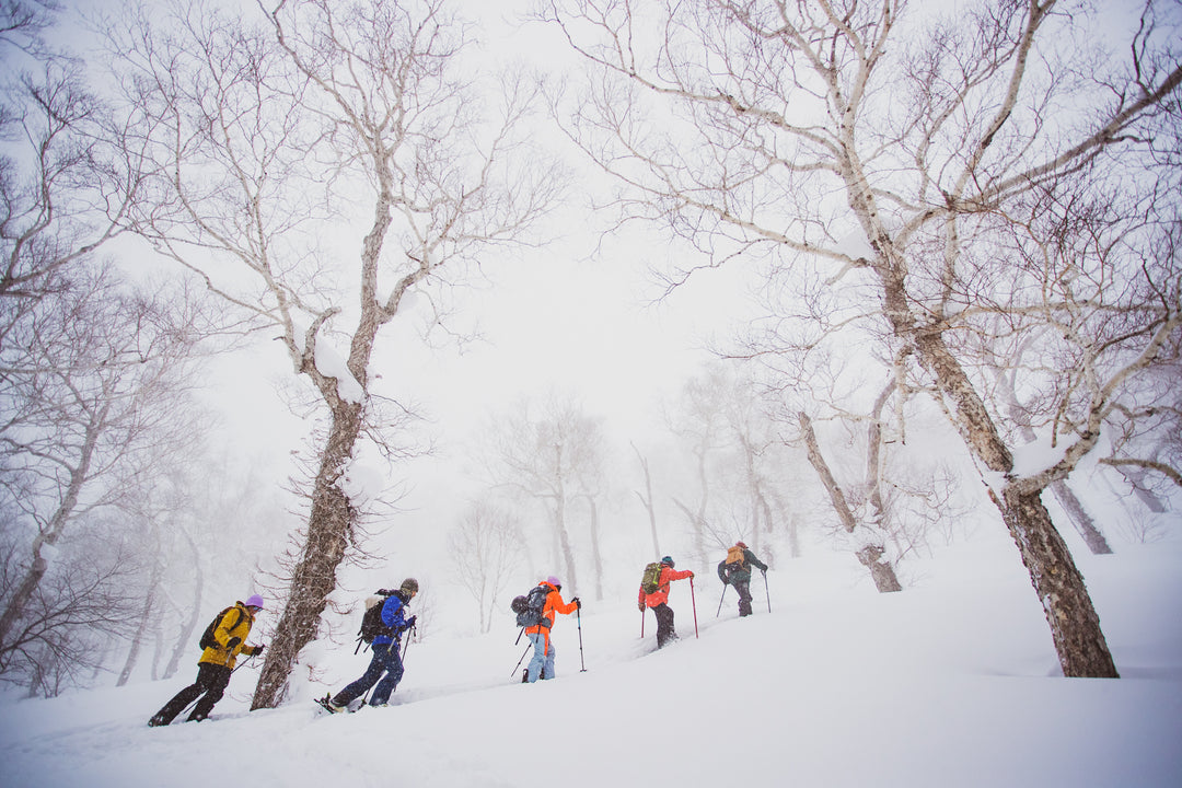 A Place Called Niseko – Season