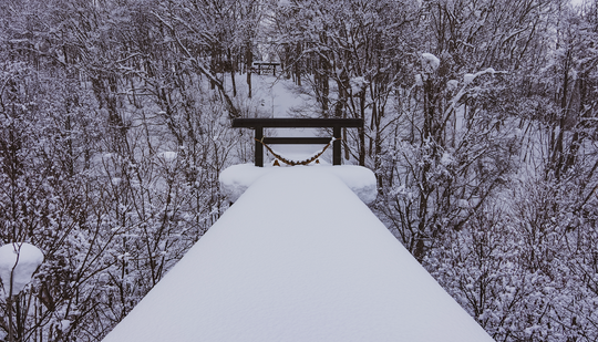 Have you been reborn lately? – Season