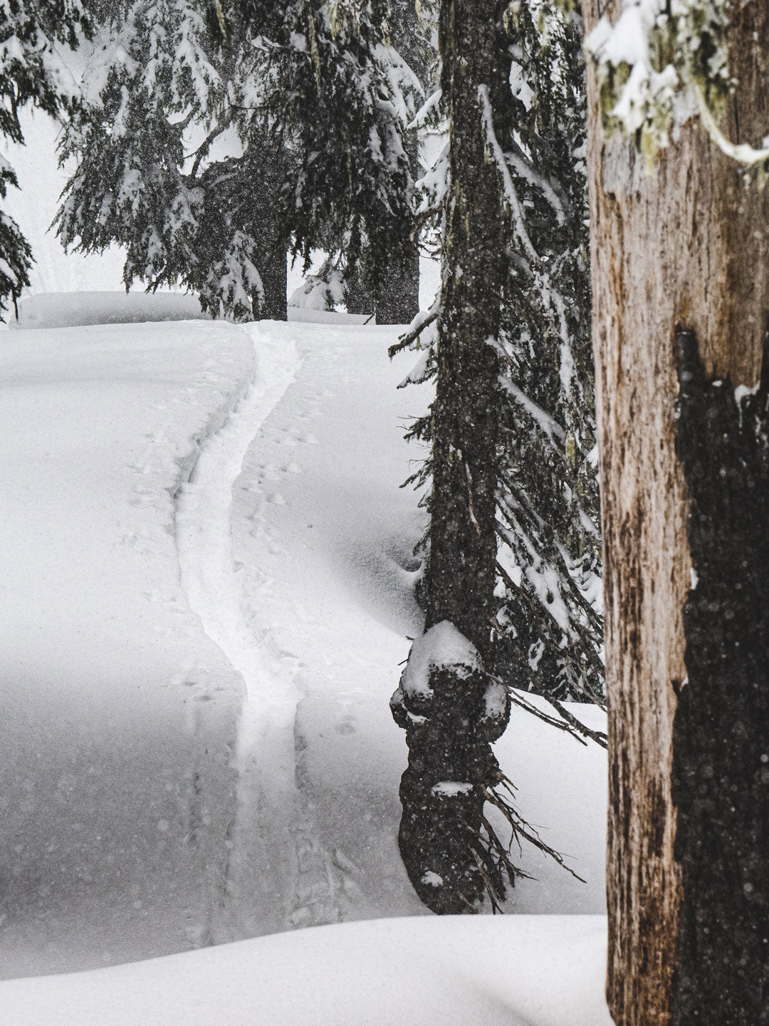 range of focus series: erin & eric – Season