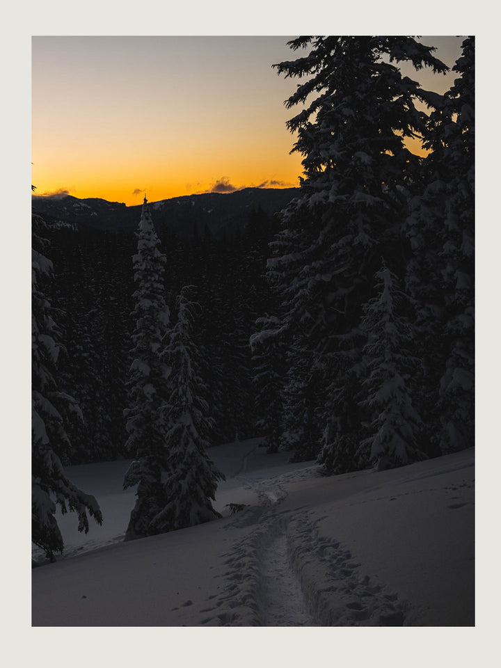 Griffin's First Tour – Season