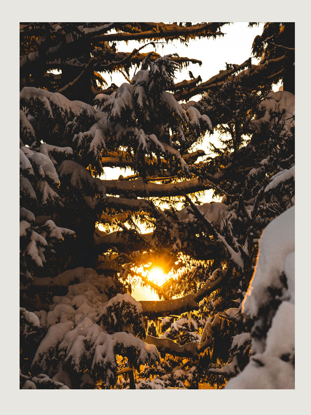 Griffin's First Tour – Season