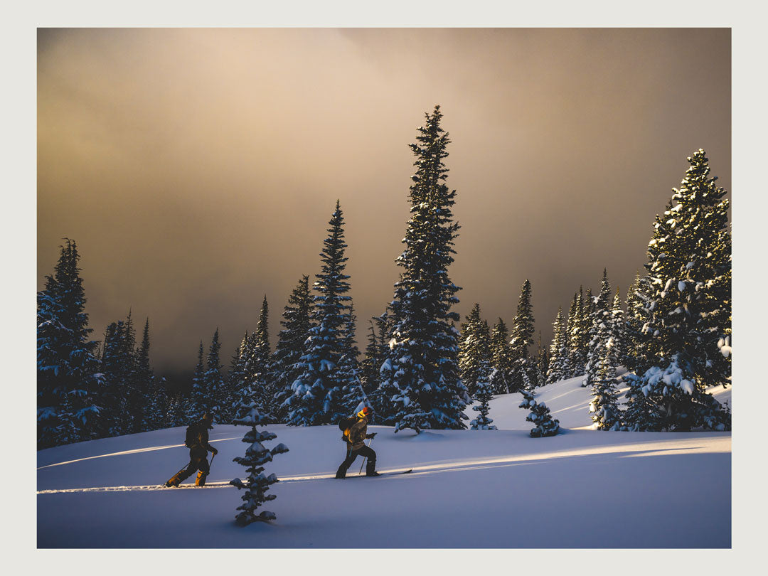 Griffin's First Tour – Season