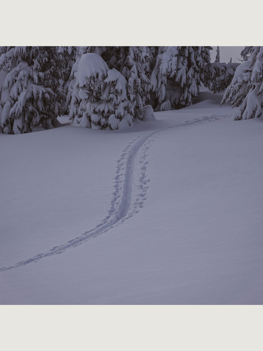 community: josh & darcy – Season