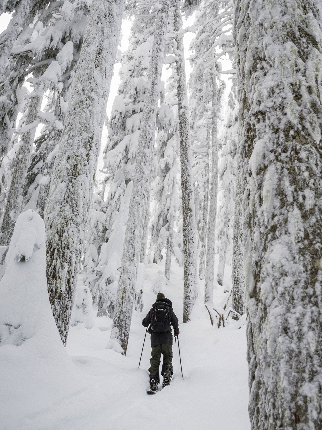 Set up a Splitboard by Yourself – Season